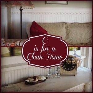 10 Spring Cleaning Hacks FOR A CLEANER HOME - Homemaking and ...
