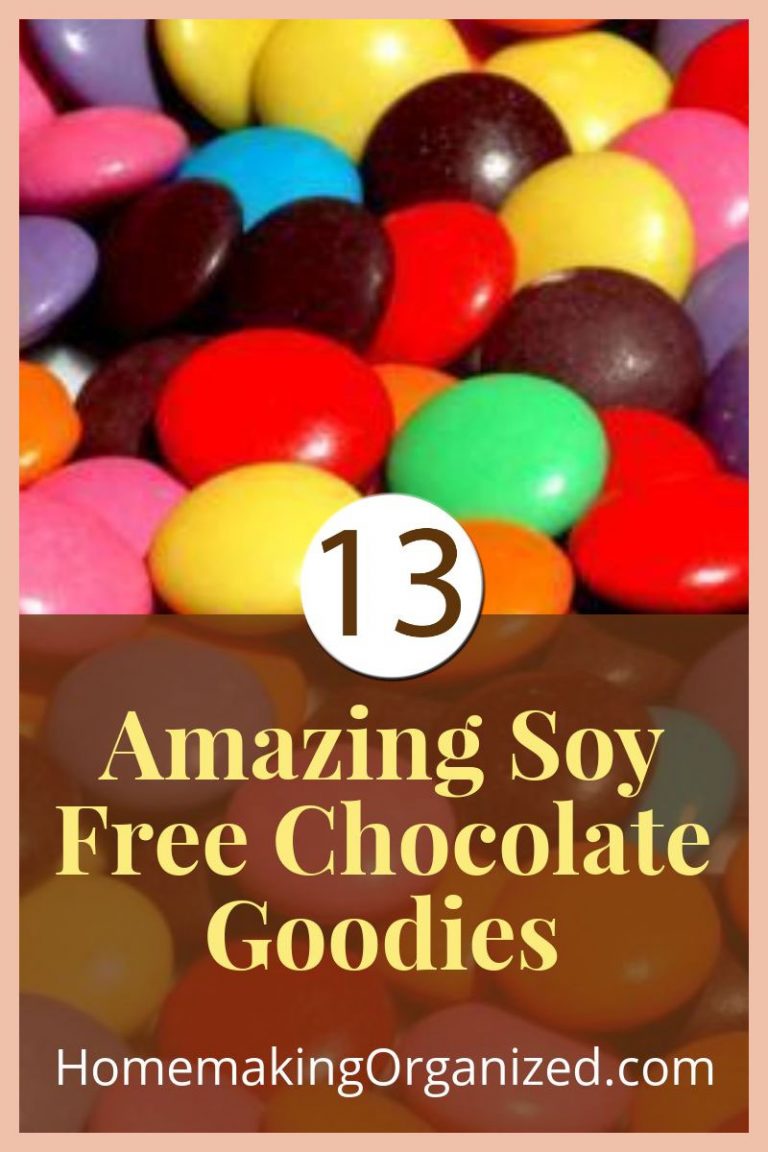 13 Amazing Soy Free Chocolate Treats to try Today - Homemaking Organized