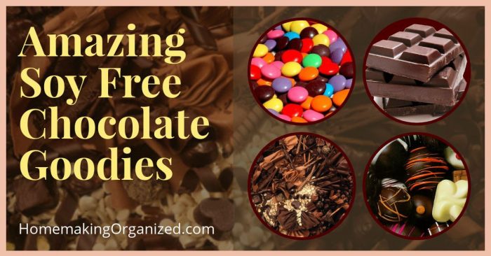 13 Amazing Soy Free Chocolate Treats to try Today - Homemaking Organized